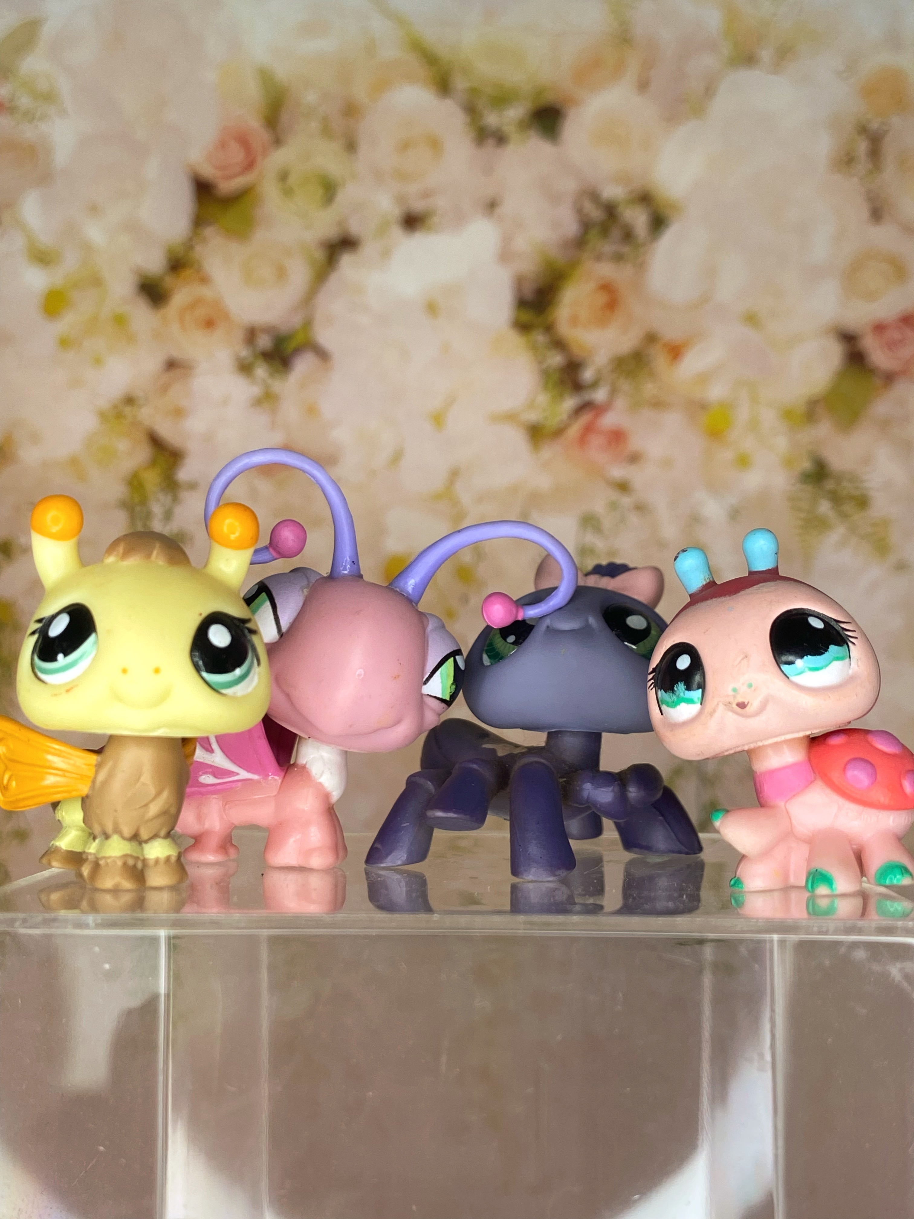 Bugs 🐞 – Lily LPS shop